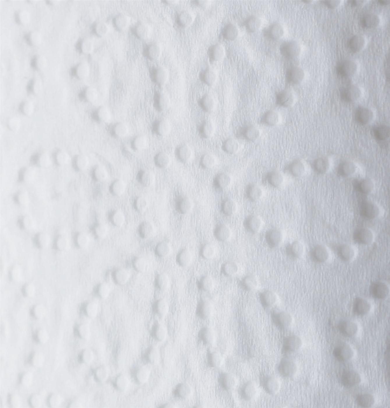 Lucart Strong White Kitchen Rolls